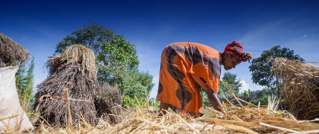 BuildProc – Certification programme by IFAD and ITCILO