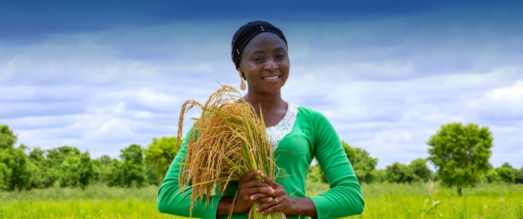 BuildProc – Certification programme by IFAD and ITCILO