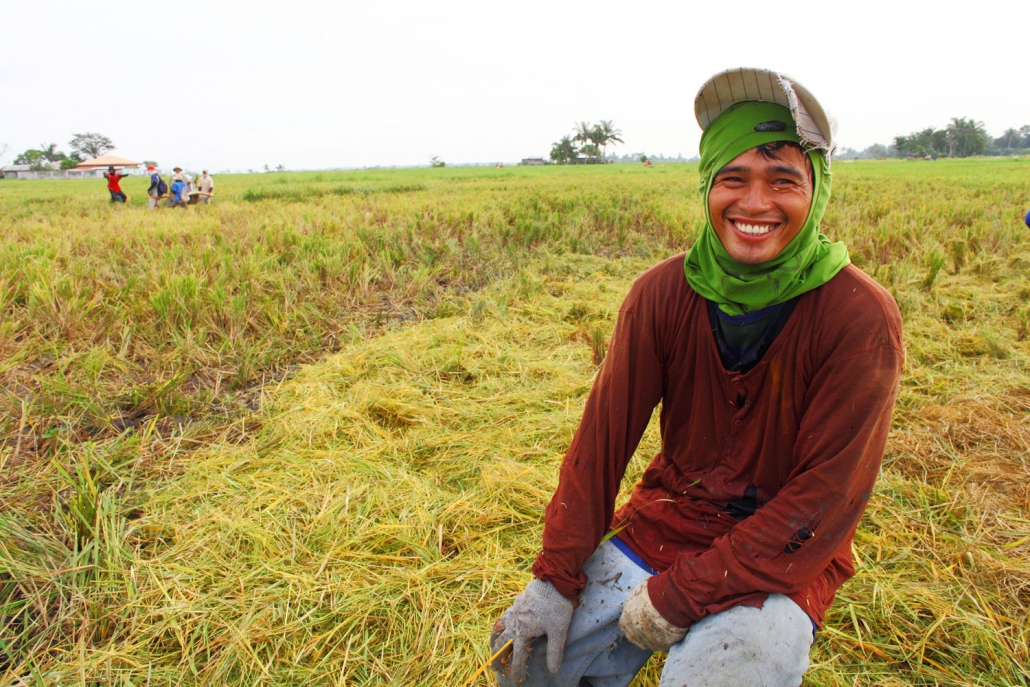 BuildProc – Certification programme by IFAD and ITCILO