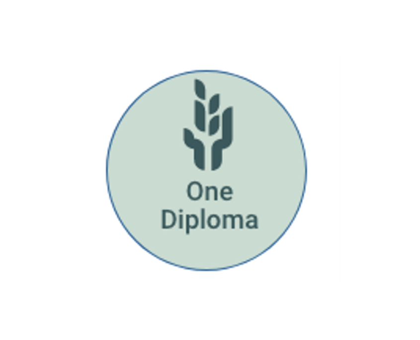 BuildProc – Certification programme by IFAD and ITCILO